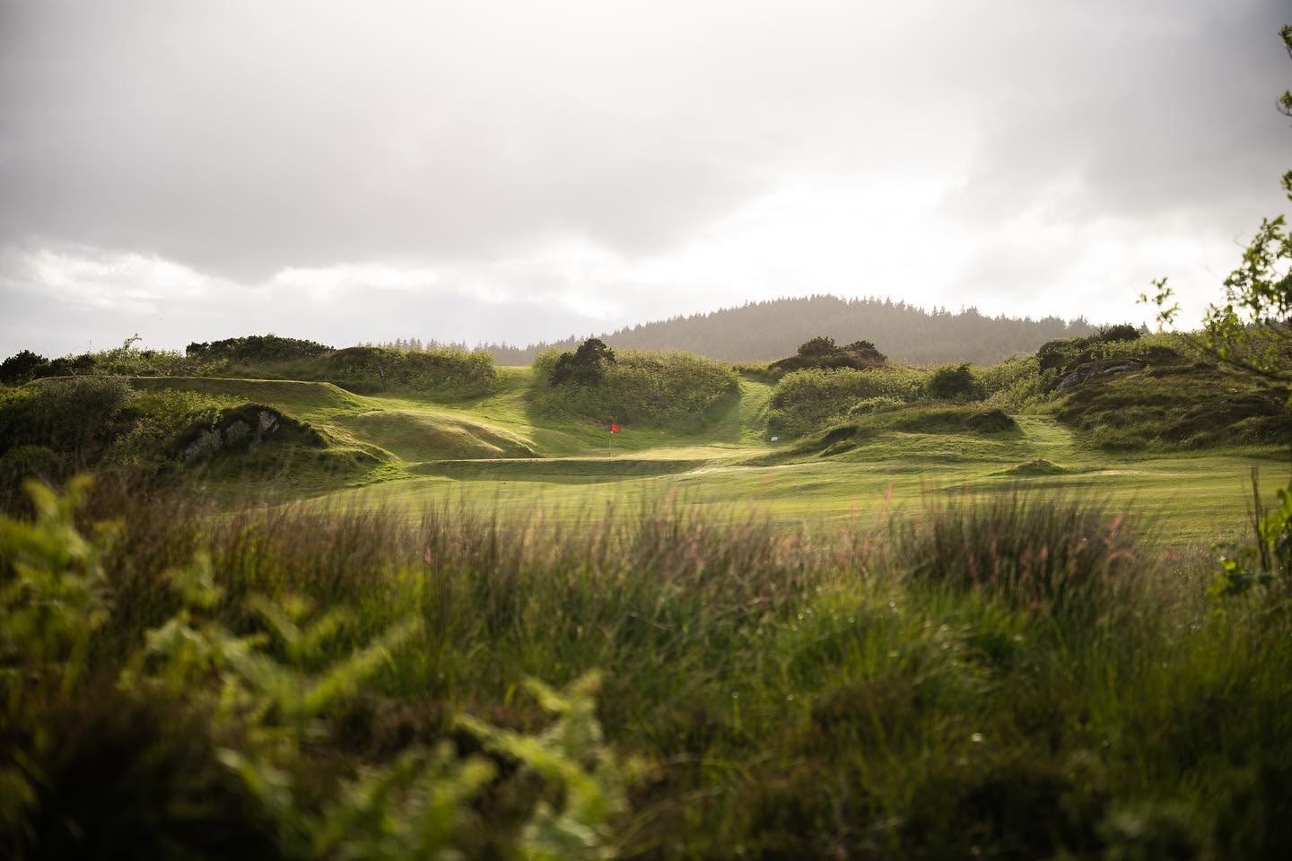 Carradale Golf Club — Community - Golf Post