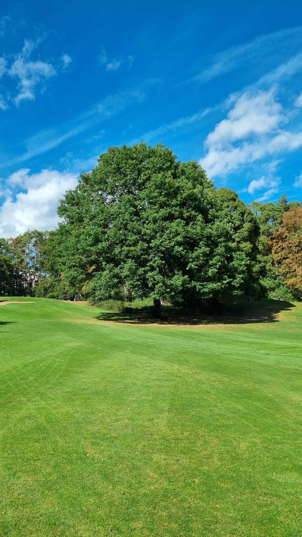Stuttgarter GC Solitude - Golf Post
