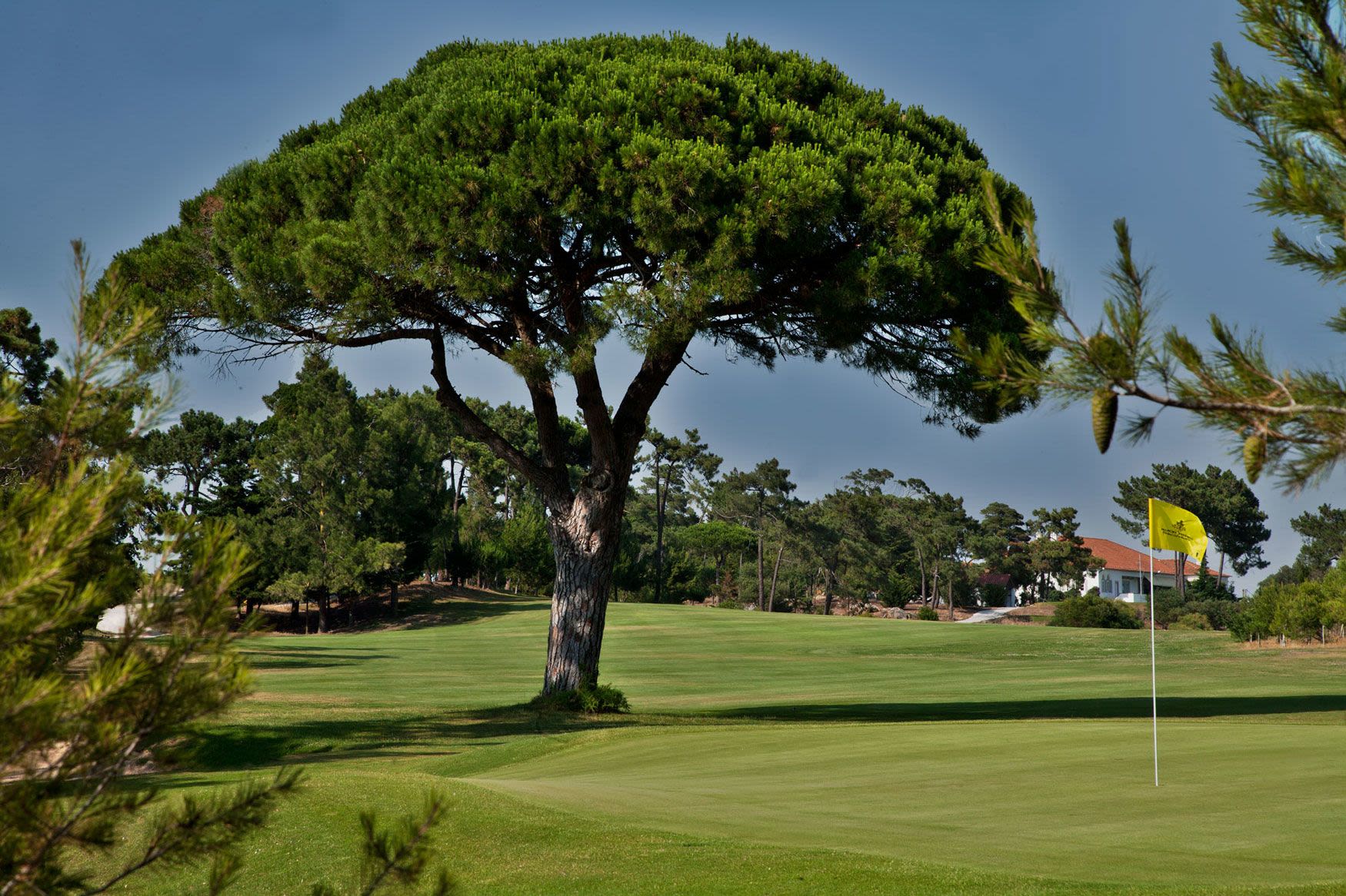 Hotel Palácio Estoril 5* - Golf Post