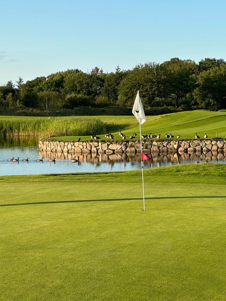 GC Hamburg Oberalster - Golf Post