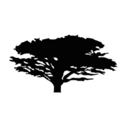 Overstone Park Golf Club — Community - Golf Post